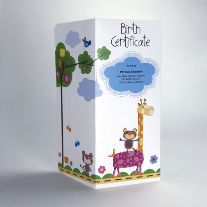 County Clerk, Vital Record & Judge Legal Folders | PFC Products